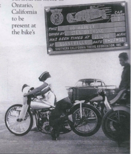 About Stan - Hog Legend