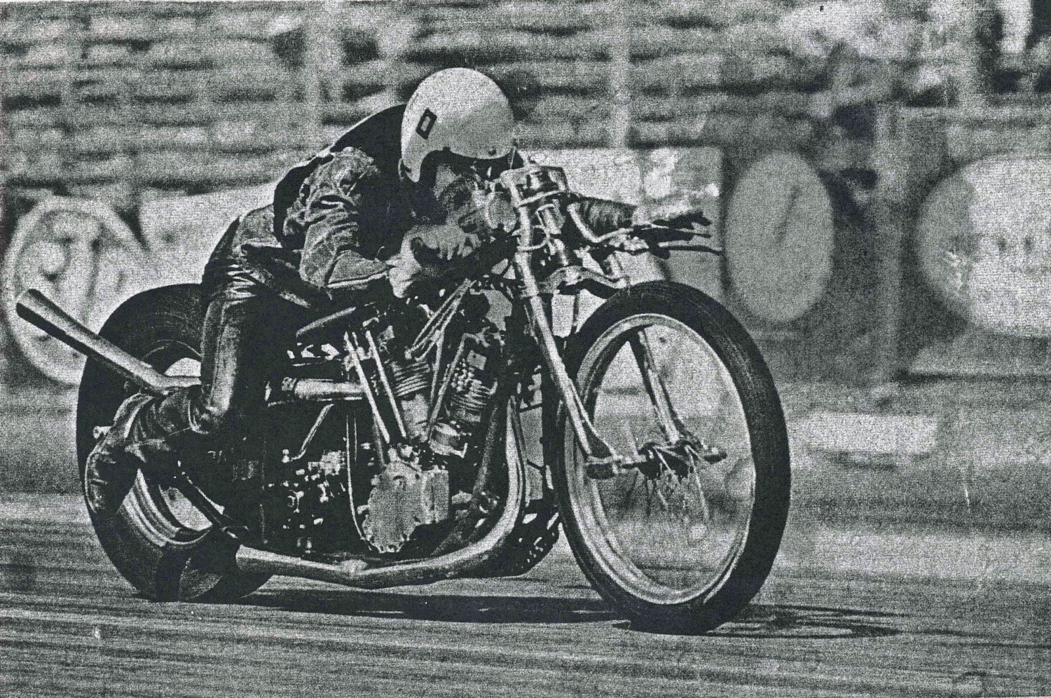 About Stan - Hog Legend